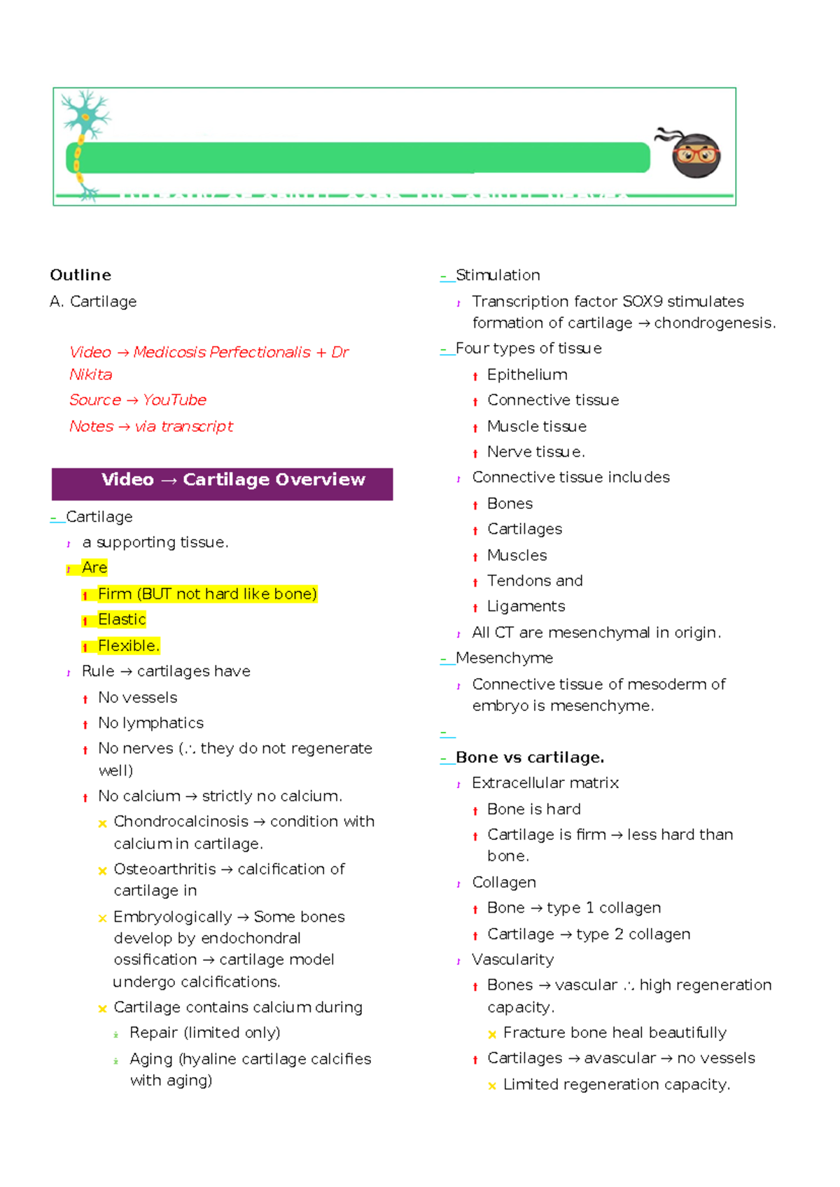 Cartilage Anatomy + Histology + Mnemonics - Medicosis Perfectionalis ...