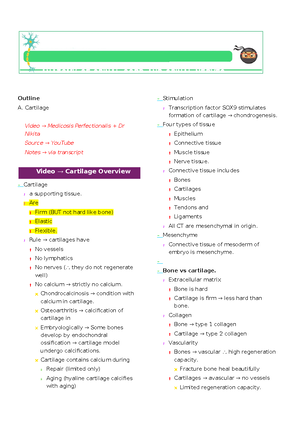 Epithelium Location + Mnemonics - Noted Anatomist Notes + Mnemonic ...