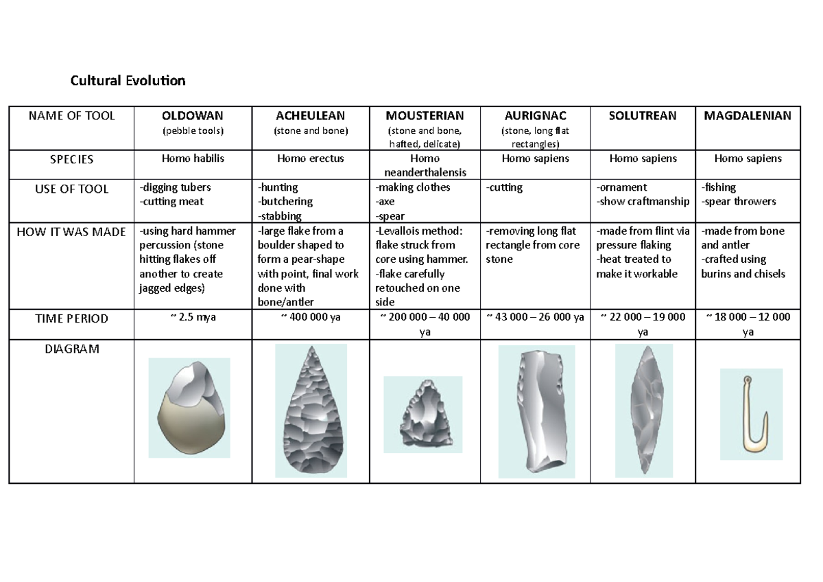 Cultural Evolution - Tools - Cultural Evolution NAME OF TOOL OLDOWAN ...