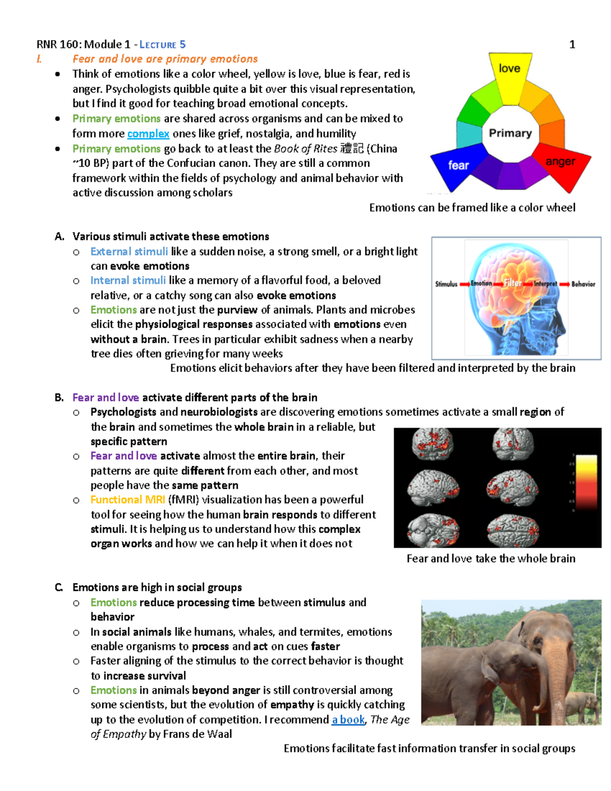 Understanding Fear and Love: Primary Emotions and Their Impact on ...