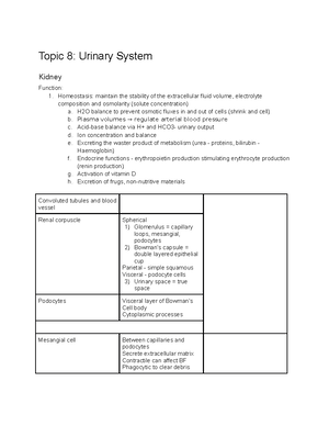 Lecture 4 Anatomy of the Upper Respiratory system and Upper Digestive ...