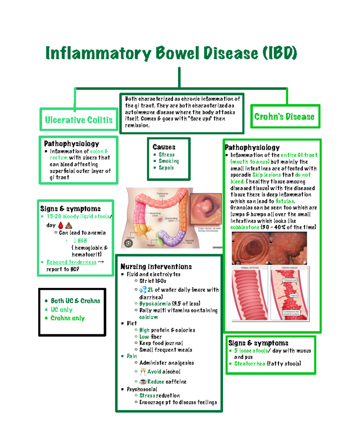 Inflammatory GI - Nites - Ulcerative Colitis Crohn’s Disease Both ...