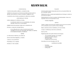 Funículo espermático - Funiculo espermatico anatomia - Funículo ...