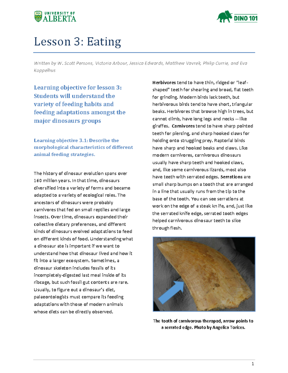 Lesson 3 - Fossils and Taphonomy - Lesson 3: Eating Written by W. Scott ...