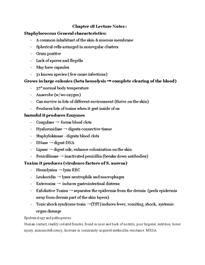 DNA Replication Lecture Handout - DNA Replication Handout DNA review ...
