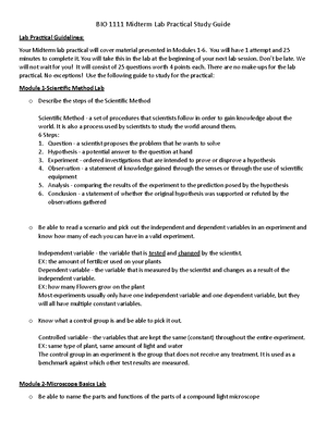 How Can Diffusion Be Observed Lab Handout - Diffusion & Osmosis Lab Introduction: In this lab ...