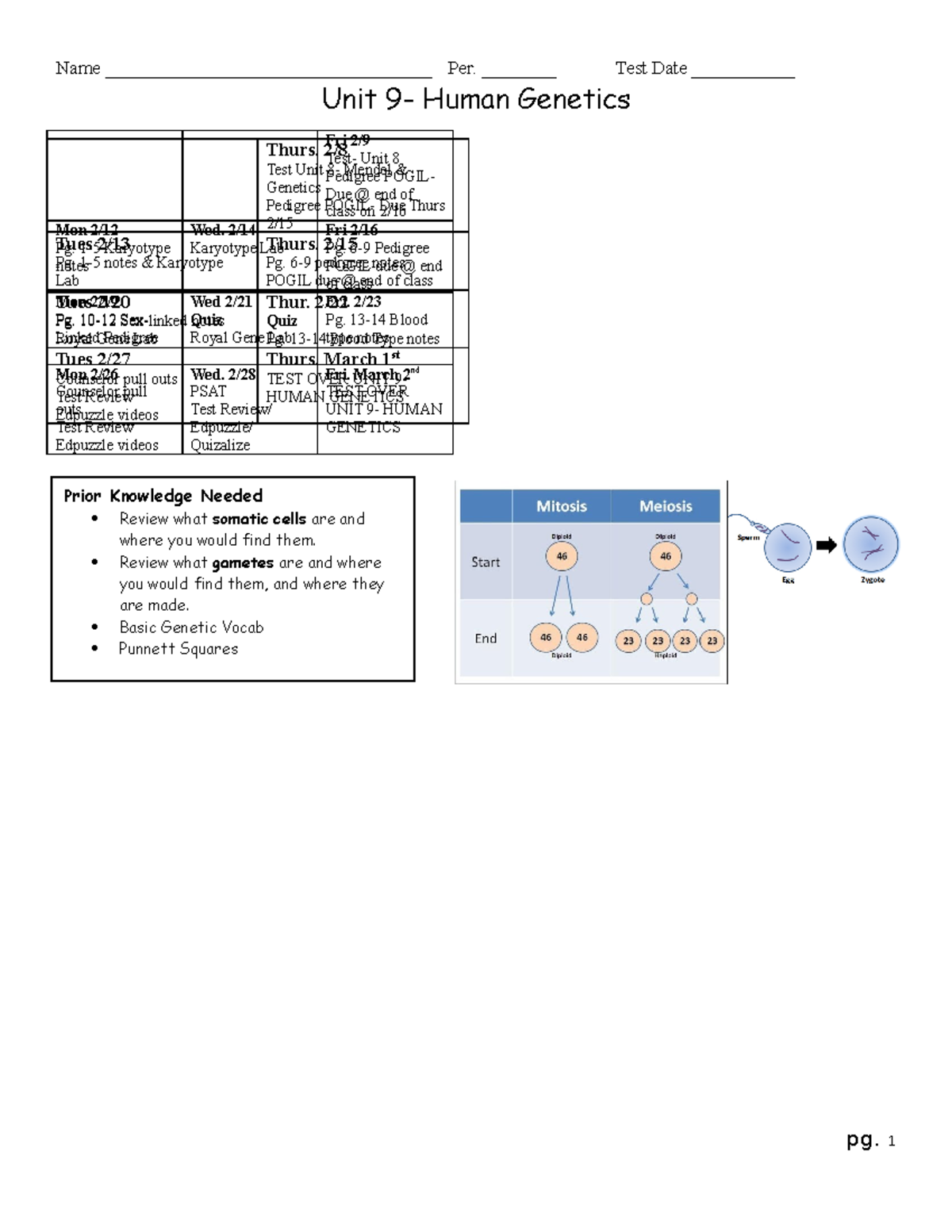 Unit 9- Notes- Human Genetics- Completed - Name ...