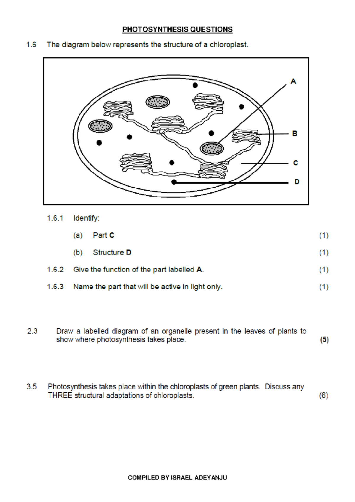 Photosynthesis Questions Student'S COPY - PHOTOSYNTHESIS QUESTIONS ...