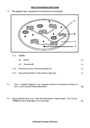 GP Life Sciences Grade 11 Practical Task 2021 TERM 3 and Memo - LIFE ...