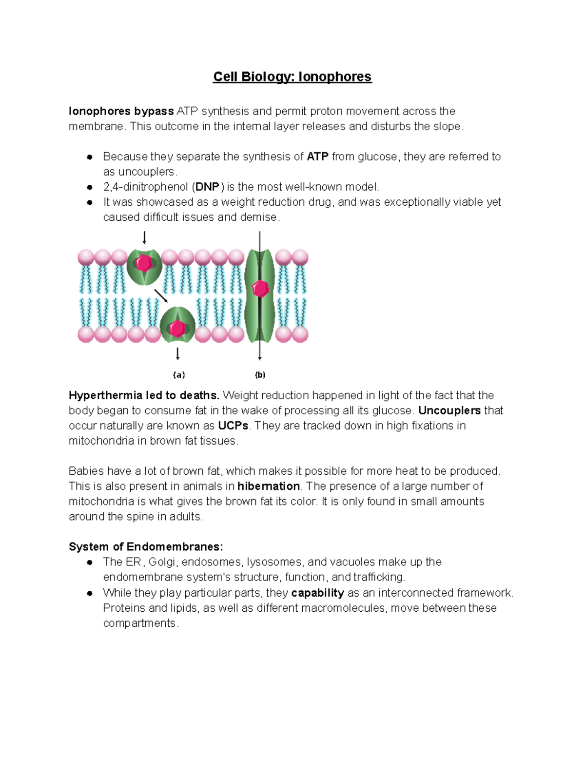 Cell Biology Ionophores - Cell Biology: Ionophores Ionophores bypass ...