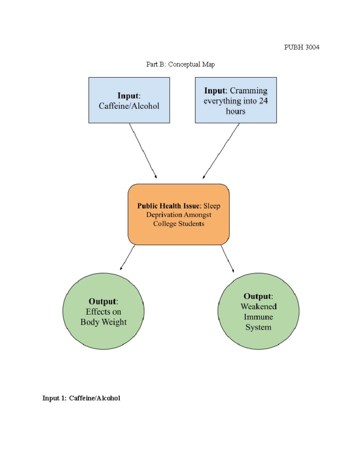 Part B - Conceptual Map - Big homework assignment. - PUBH 3004 Part B ...