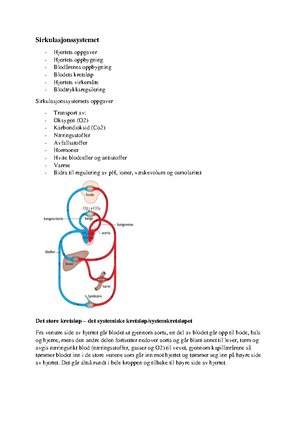 Fysiologi 2 - sirkulasjonssystemet - Sirkulasjonssystemet Hva inngår sirkulasjonssystemet? I ...