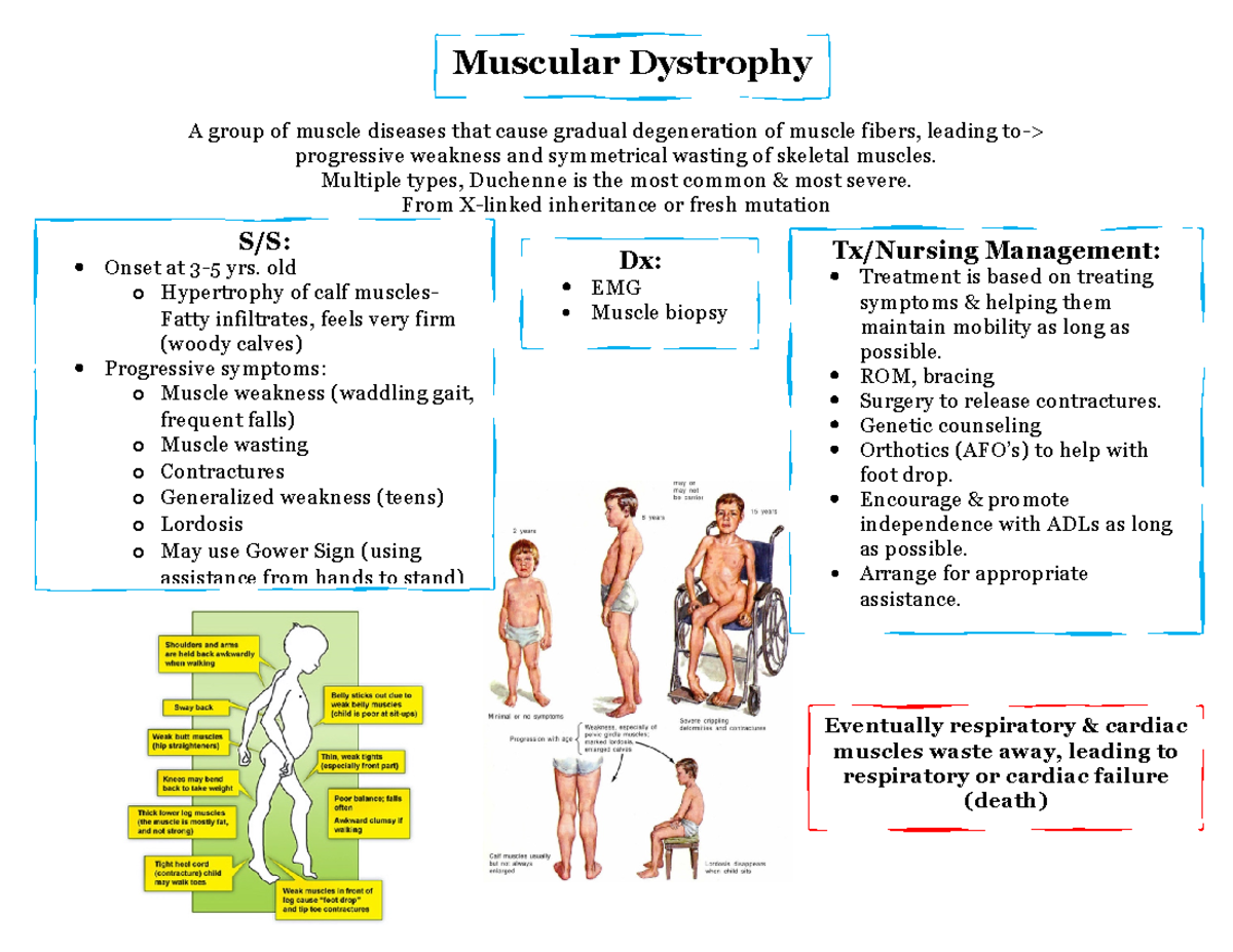 Muscular Dystrophy Cerebral Palsy Neural Tube Defects: Causes Symptoms ...