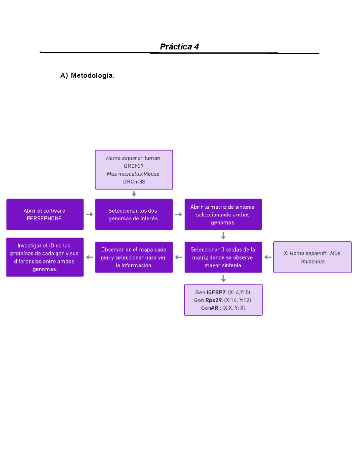 Pract 4 Persephone - Práctica 4 A) Metodología. B) Resultados. Imagen 1. Se pueden apreciar los ...