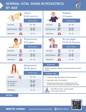 Respiratory-Assessment - Eupnea Normal breathing rate and pattern ...