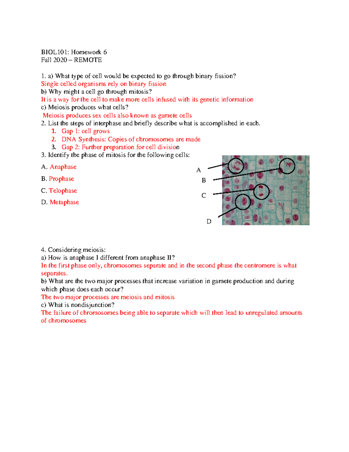 BIOL101 HW6 fa20 Remote - Warning: TT: undefined function: 32 BIOL101: Homework 6 Fall 2020 ...