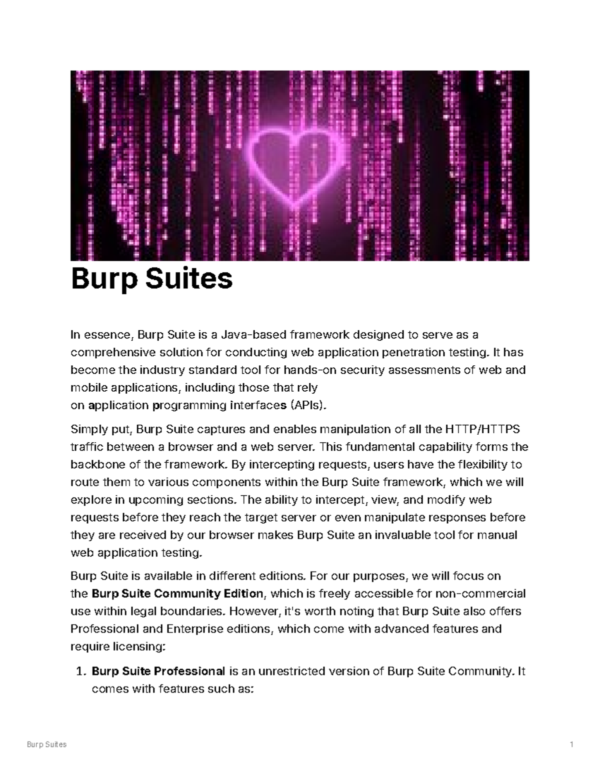 Burp Suites notes - Burp Suites In essence, Burp Suite is a Java-based ...