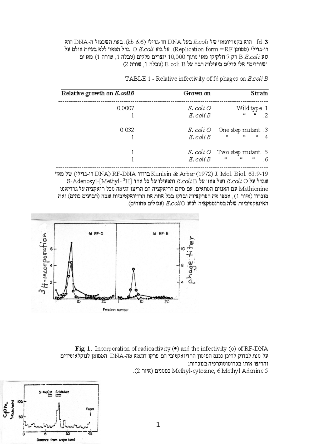 Targil 3-6 - HJBHB - הואDNA. בעת השכפול ה-)kb6(חד-גדיליDNAבעלEהוא ...