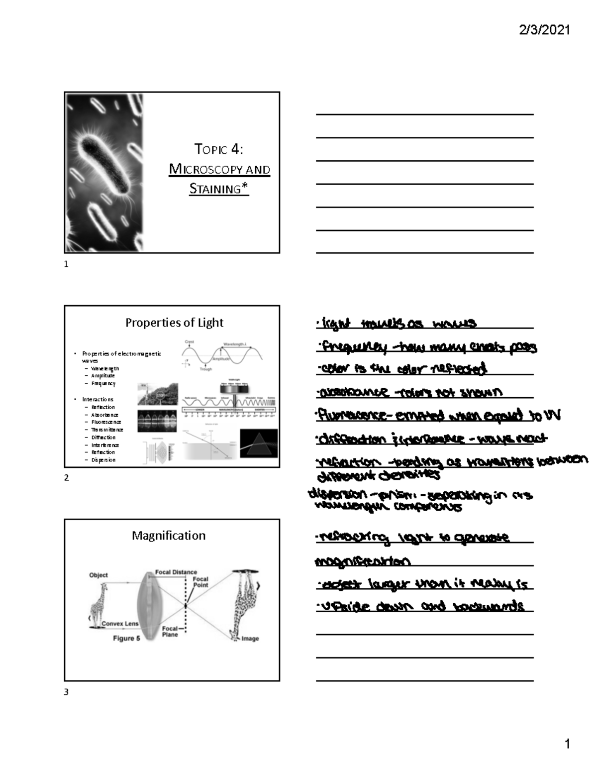 Microbiology Topic 4 Microscopy and Staining - TOPIC 4: MICROSCOPY AND ...
