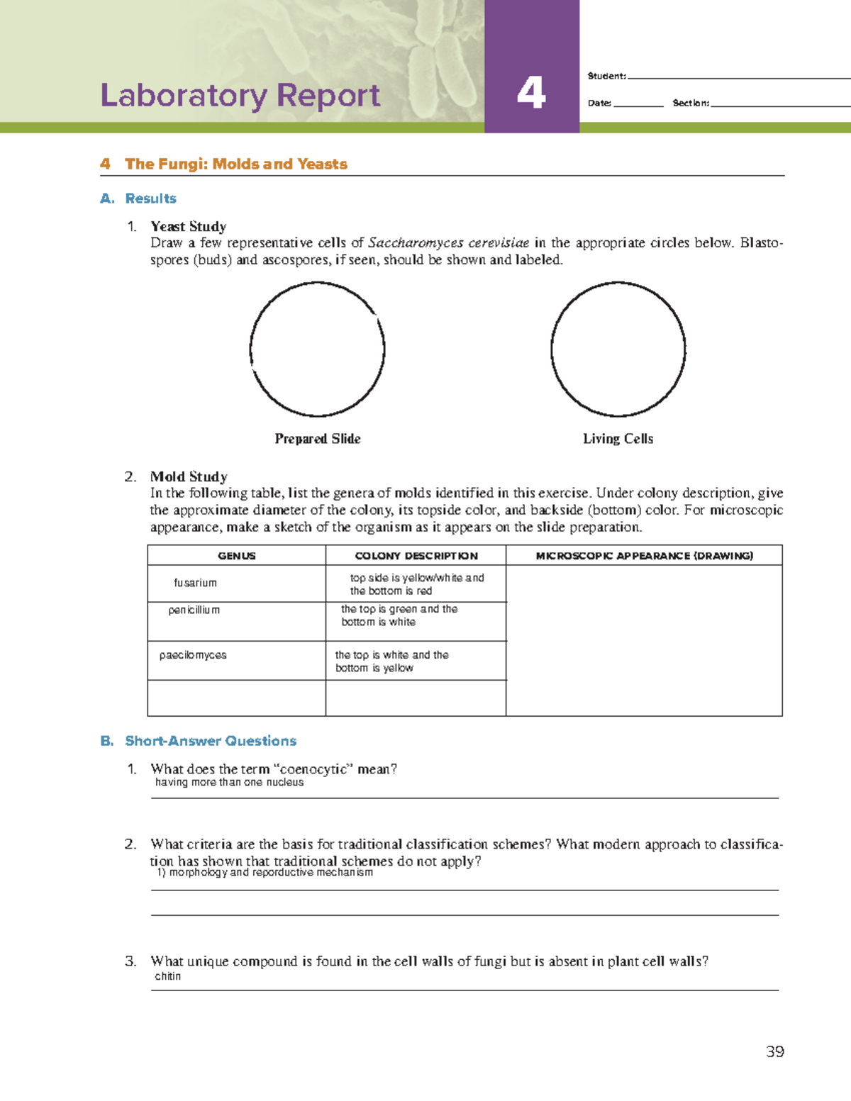 Exercise 04 Lab Report - Student: Date: Section: 39 Laboratory Report 4 4 The Fungi: Molds and ...