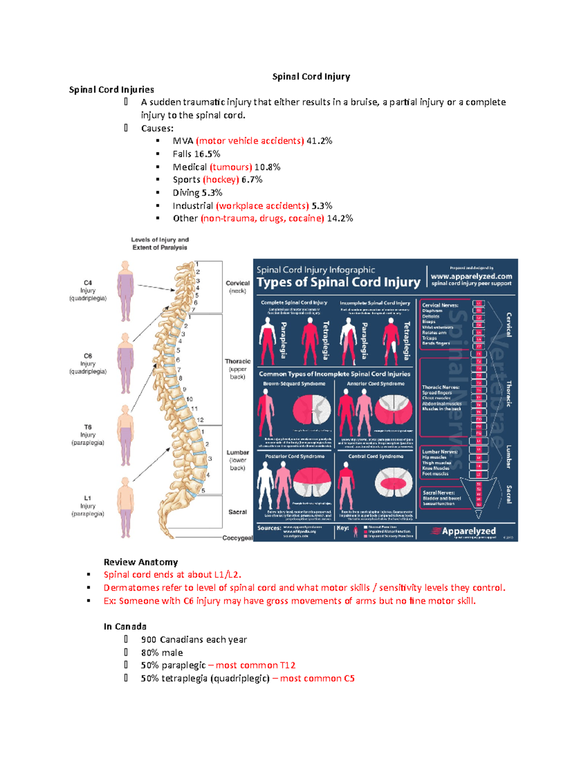 Spinal Cord Injury student notes - Spinal Cord Injury Spinal Cord ...