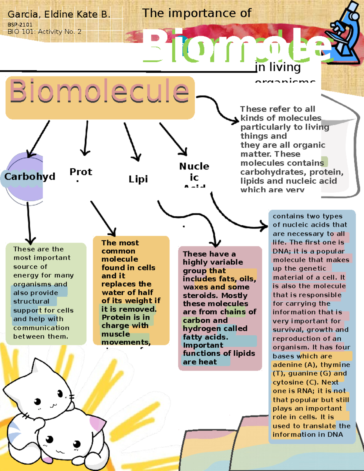 Concept Map - These are the most important source of energy for many ...