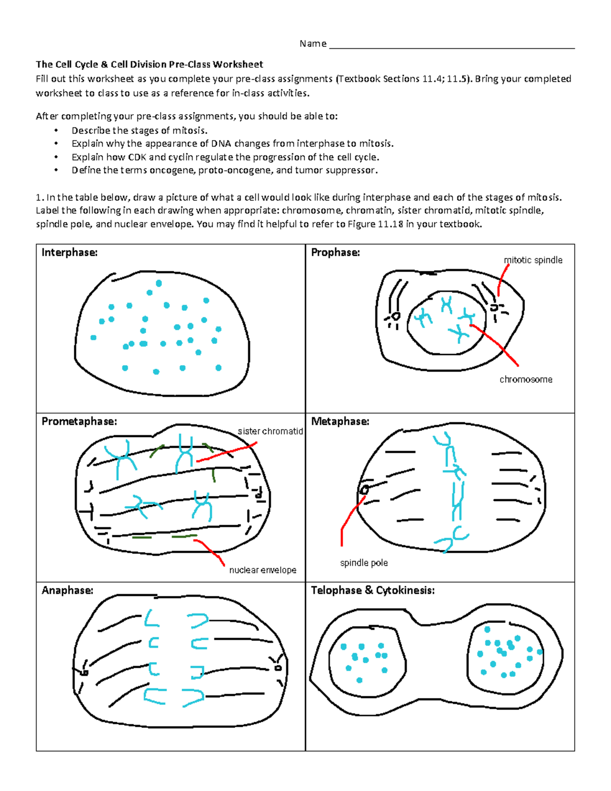 Week 10b Pre-Class Reading Guide - The Cell Cycle Cell Division - Name ...