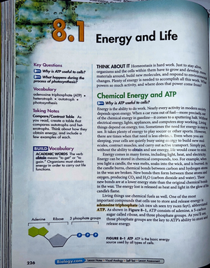 Human Legacy WH French Rev Study Guide - Test: Wednesday, January 24 ...