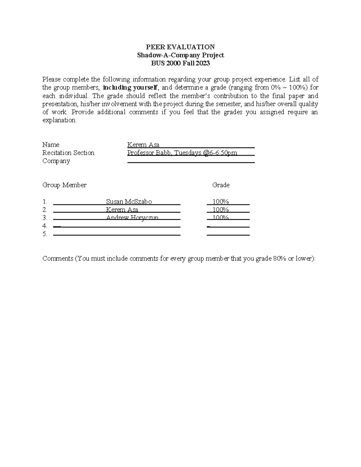 BUS project Peer review - PEER EVALUATION Shadow-A-Company Project BUS ...