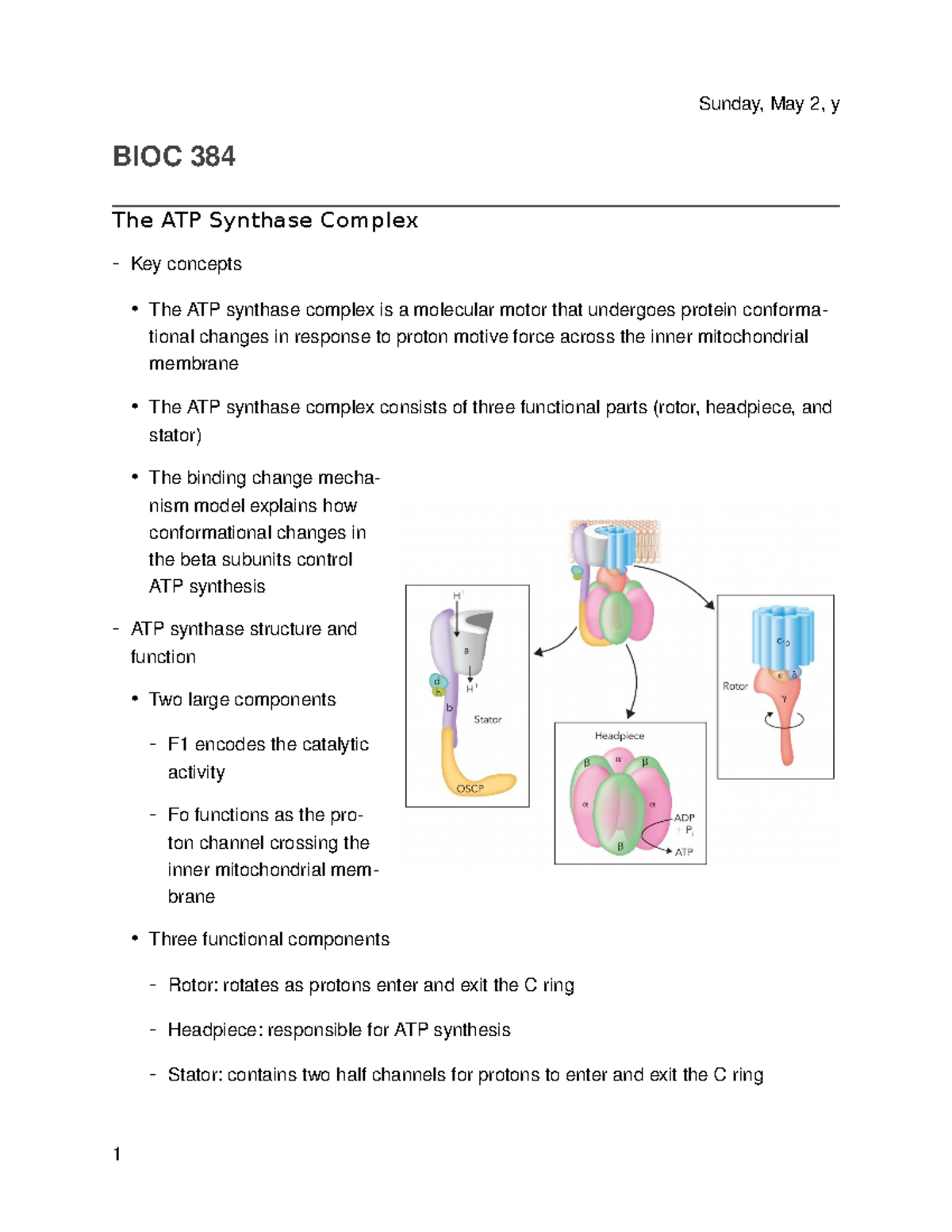 ATP Synthase Complex: Structure Function and Mechanism - Studocu