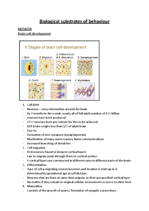 Biological substrates term 2 - Biological substrates of behaviour term ...