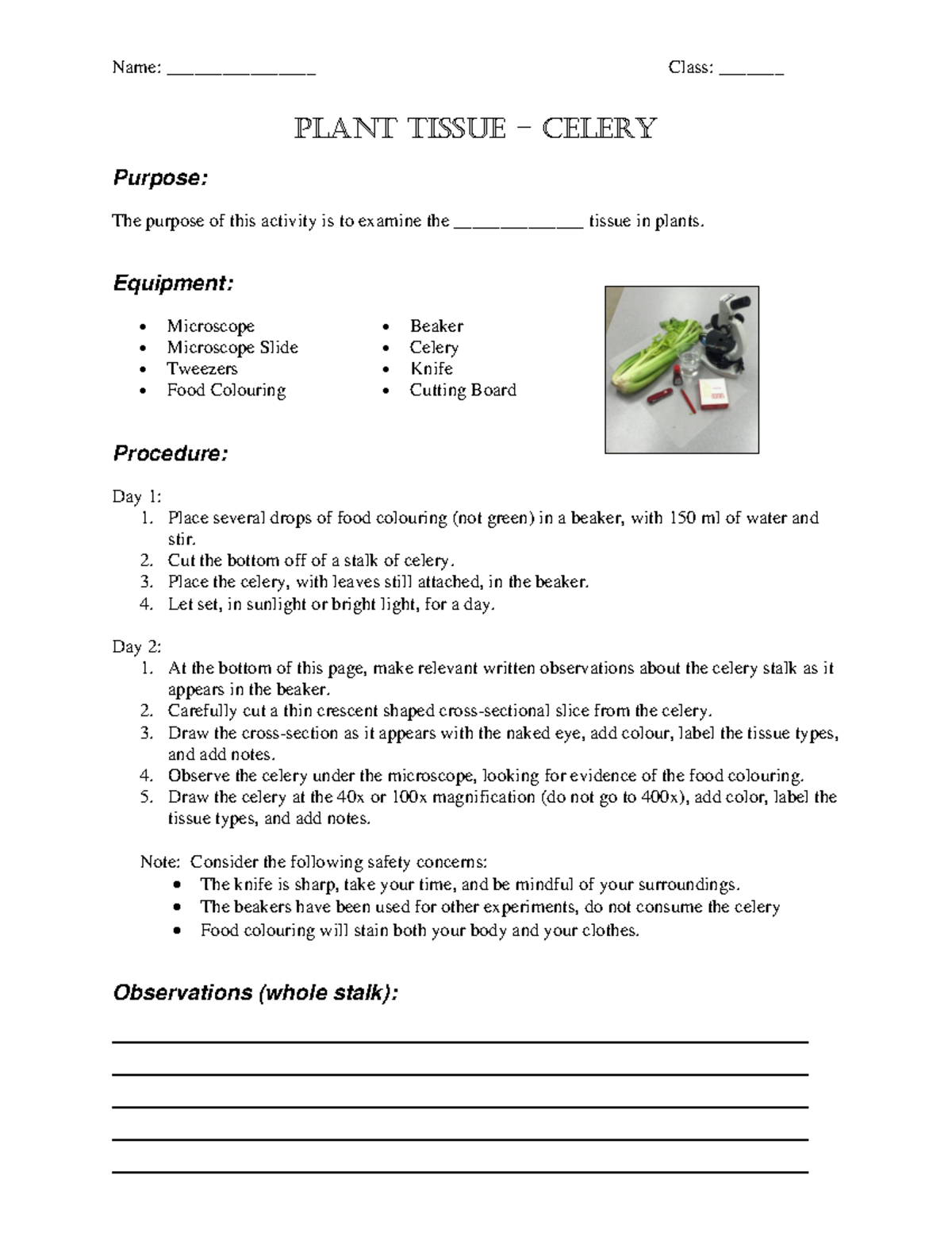 8 science cells celery experiment - Name: ________________ Class ...