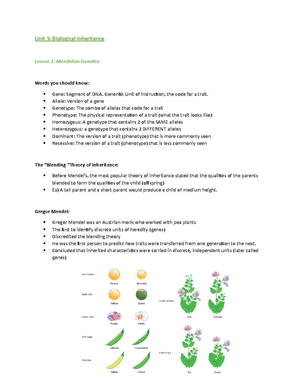 Unit 3 Biological Inheritance - Unit 3: Biological Inheritance Lesson 1 ...