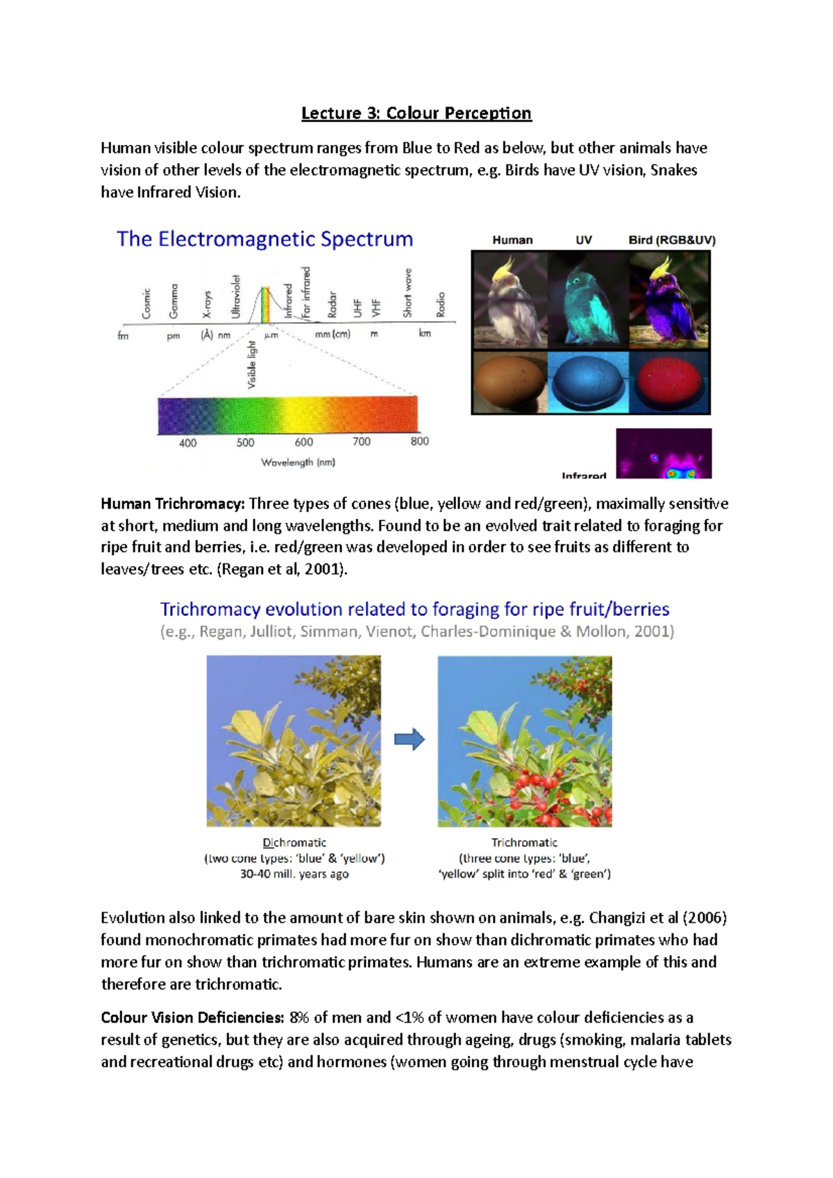 Cognitive L3 Colour Perception - Lecture 3: Colour Perception Human ...