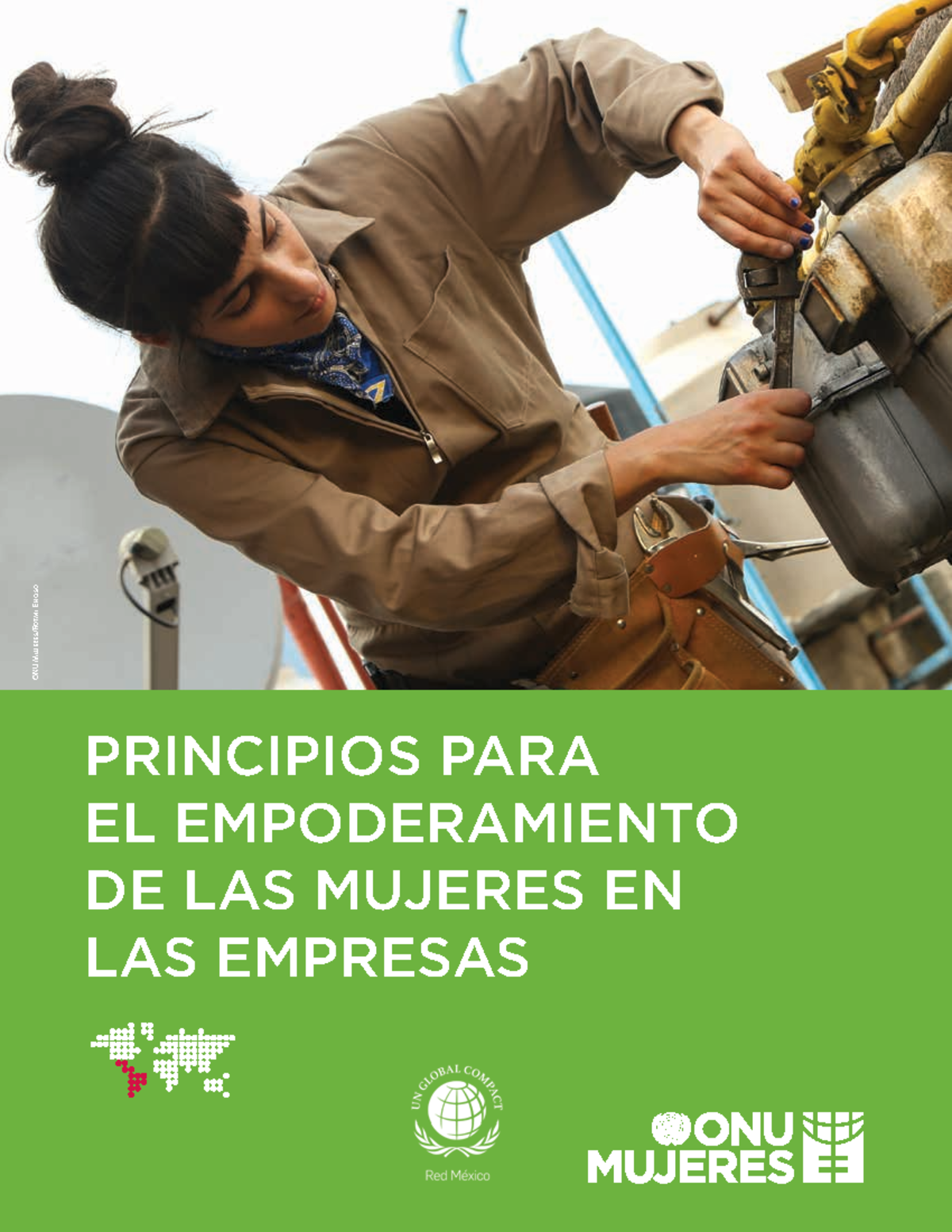 Empoderamiento mujeres en empresas - PRINCIPIOS PARA EL EMPODERAMIENTO DE LAS MUJERES EN LAS ...