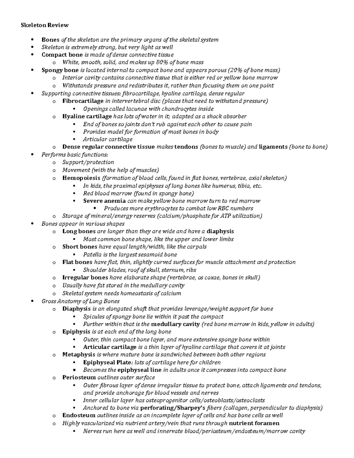 Skeleton Review - Biol Stuff - Skeleton Review Bones of the skeleton ...