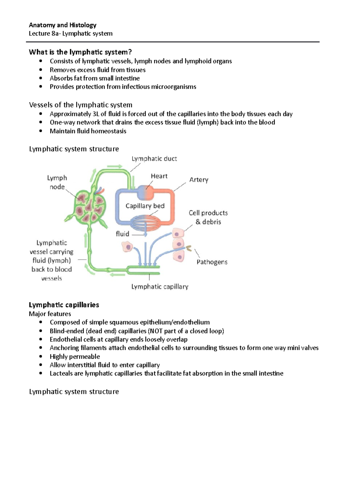 Lymphatic - LSB255 lecture notes - Anatomy and Histology Lecture 8a ...
