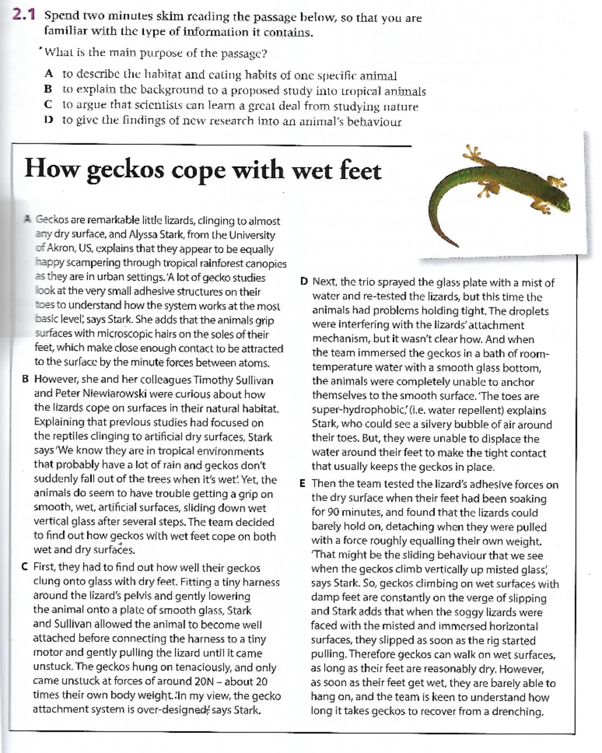 Gecko - IELTS - English for Small Group Communication - Studocu