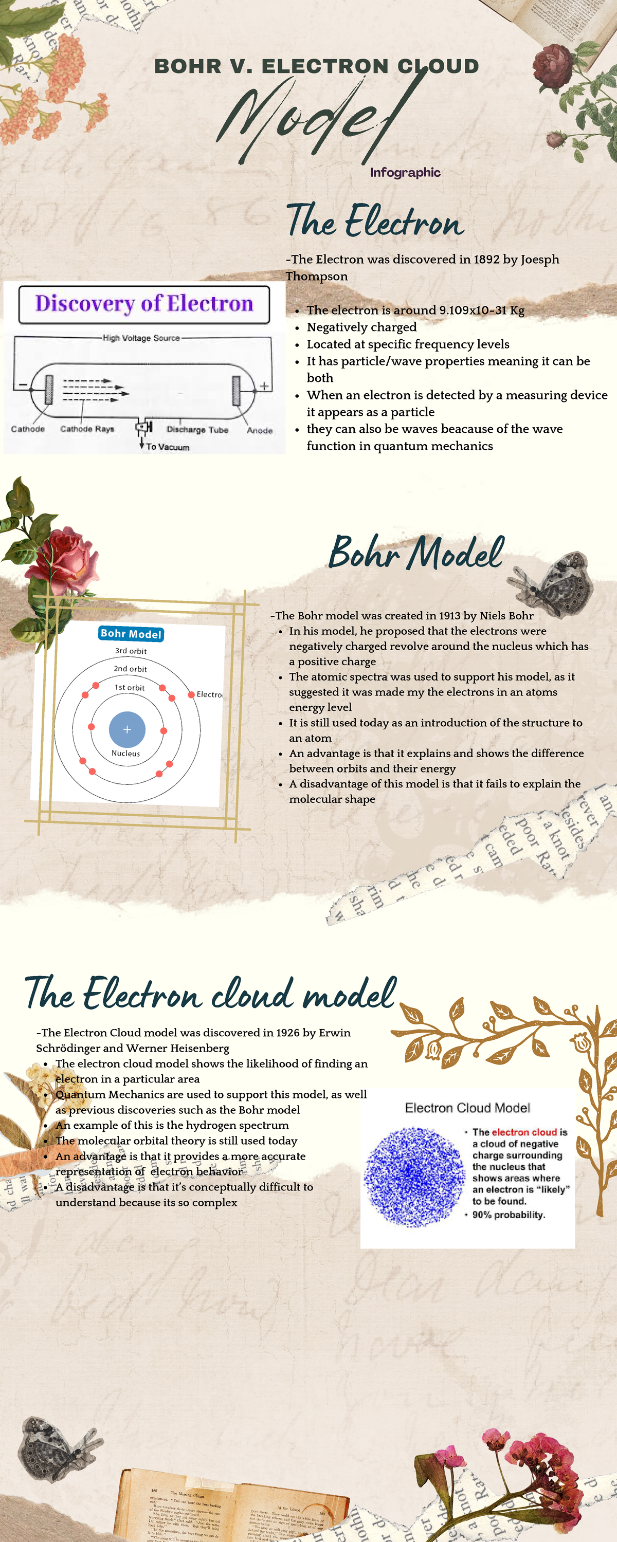 Brown Scrapbook Museum of History Infographic - Model Infographic The ...