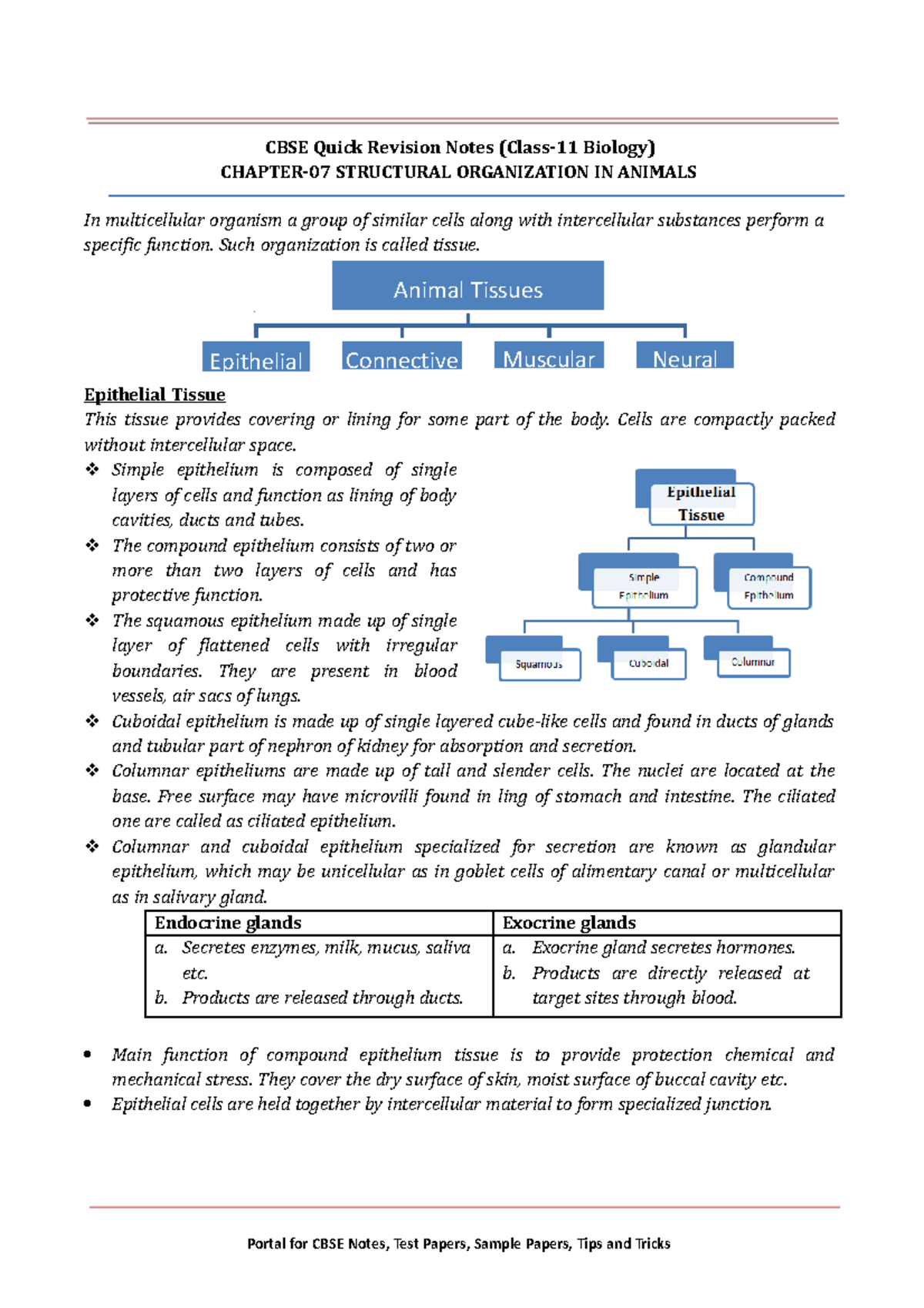 11 biology notes ch07 structural organisation in animals - CBSE Quick ...