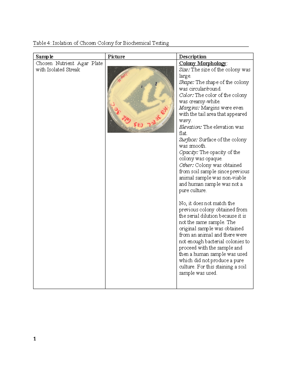 Class Activity 4 - Lab - Table 4: Isolation of Chosen Colony for ...