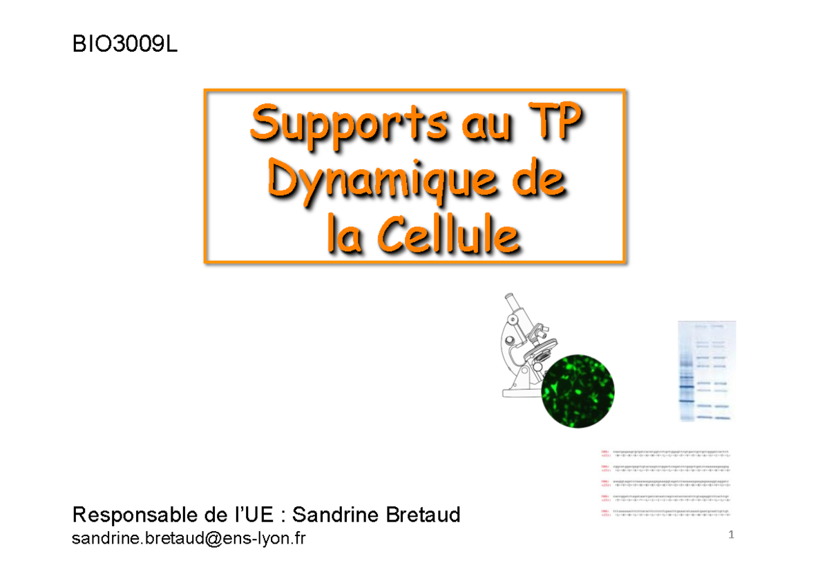 Supports TP de Dynamique 2021 - Supports au TP Dynamique de la Cellule Responsable de l’UE ...