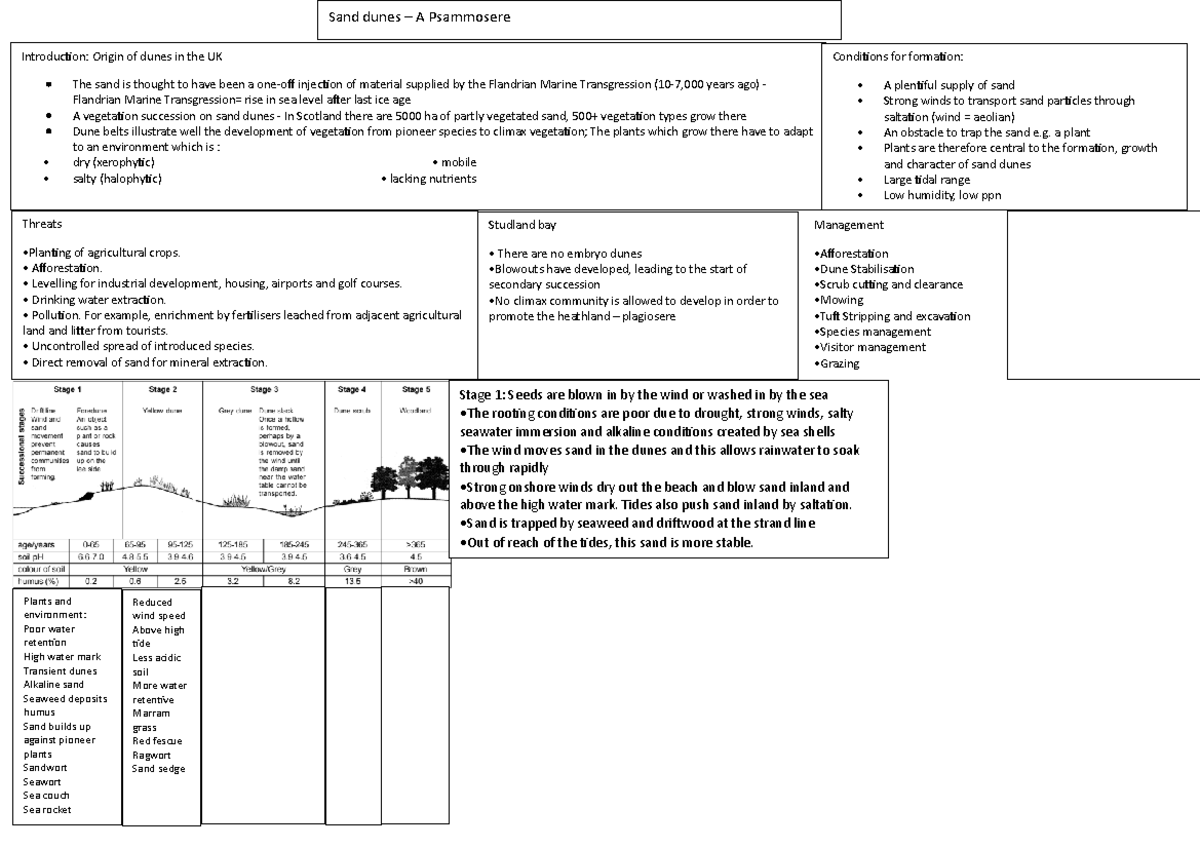 Psammosere - sand dunes - Studocu