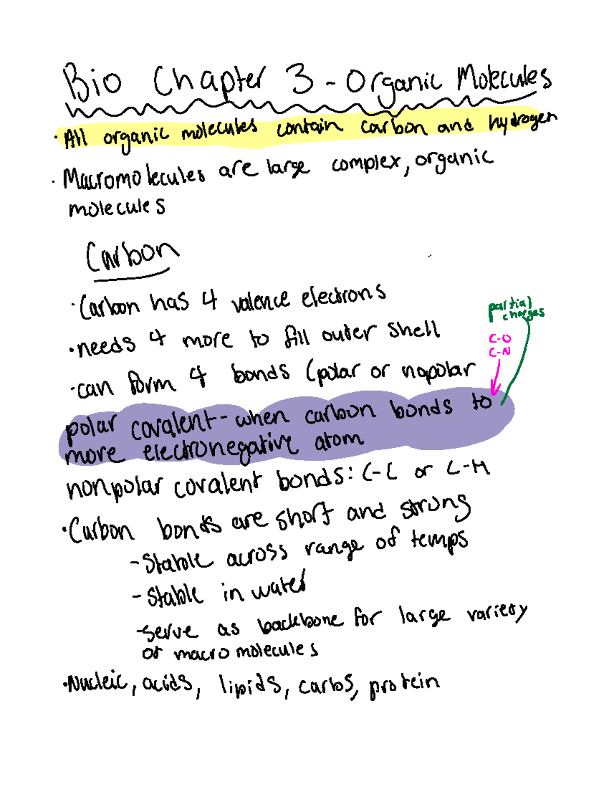Bio Chapter 3 Notes - iii ii Macromolecules are large complex organic ...