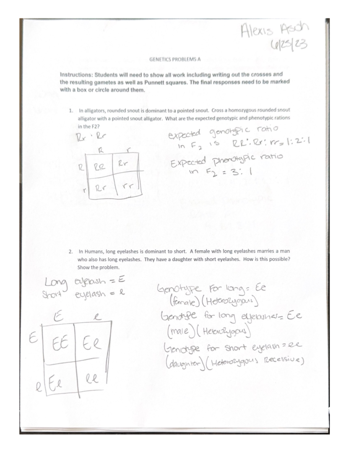 Genetics Problems A 2 Some Notes Biol 3416 Studocu