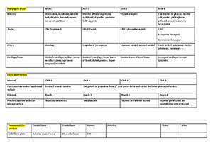Manual - Lab 1 (Skull and regions of H&N) - Warning: TT: undefined function: 32 Warning: TT ...