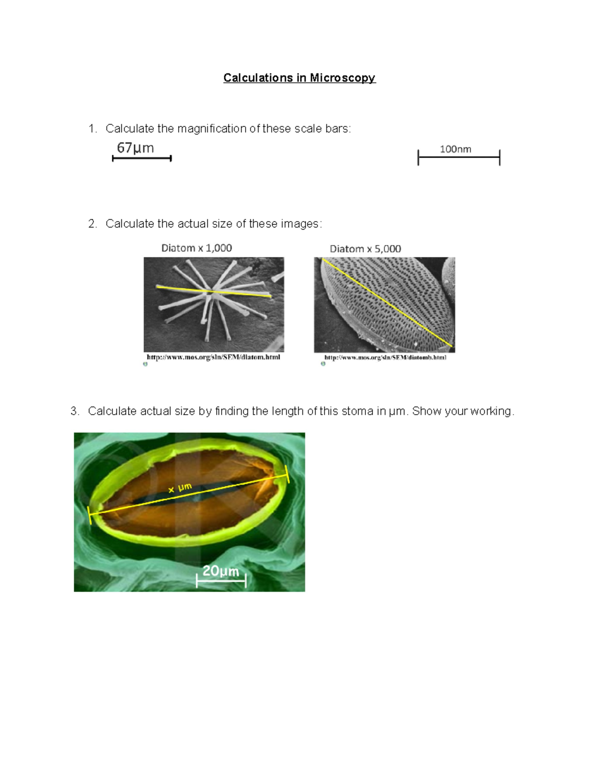 Calculations of Micropgraph - Calculations in Microscopy Calculate the ...