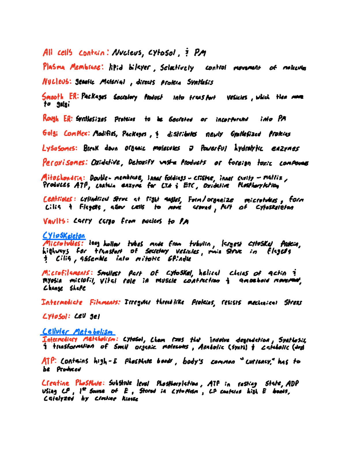 Module 1 - Important Info - All cells contain Nucleus Cytosol 3 PM ...