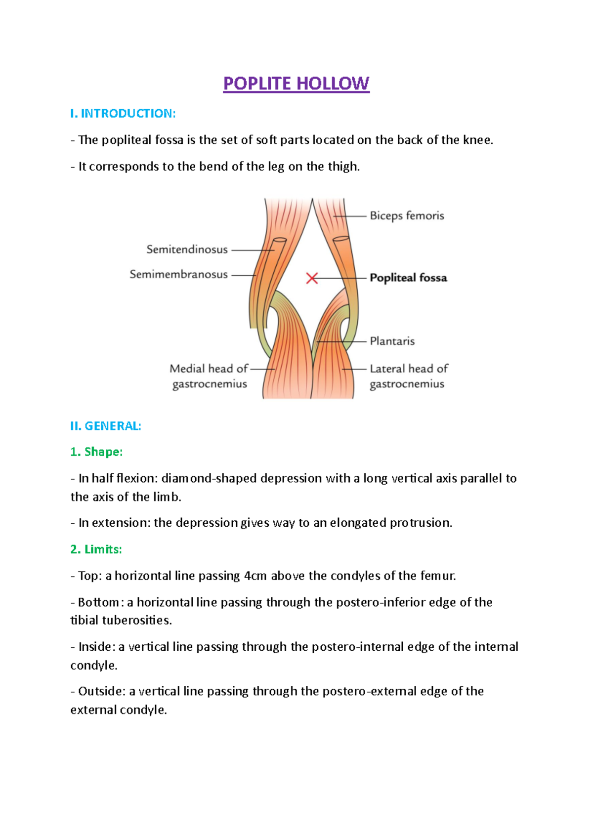 Poplite Hollow - POPLITE HOLLOW I. INTRODUCTION: The popliteal fossa is ...
