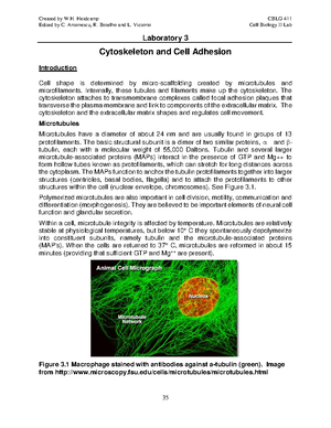 Kim et al 2005 the kim test a novel test for posteroinferior labral ...